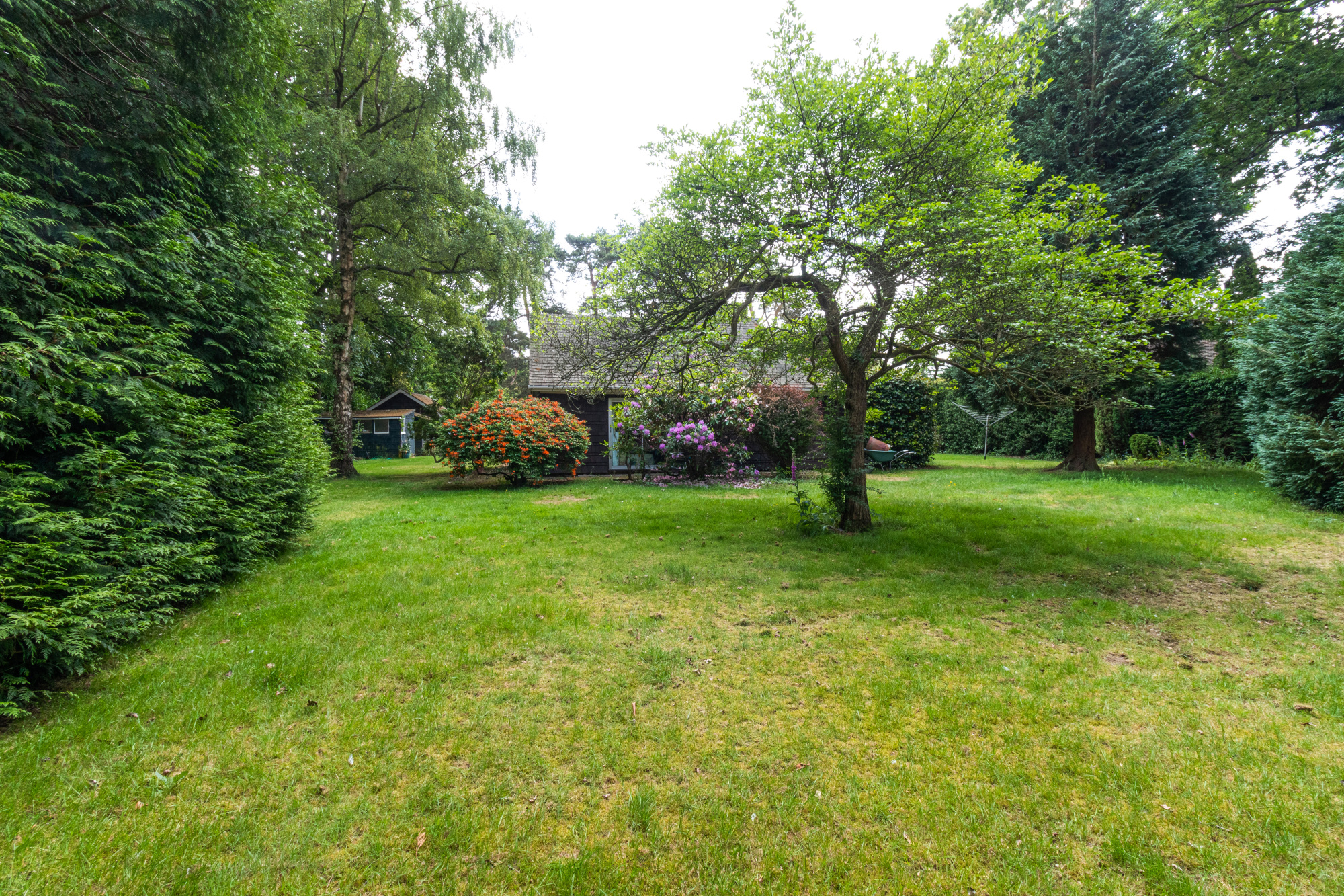 Langton Green, TN3 - Alexandre Boyes